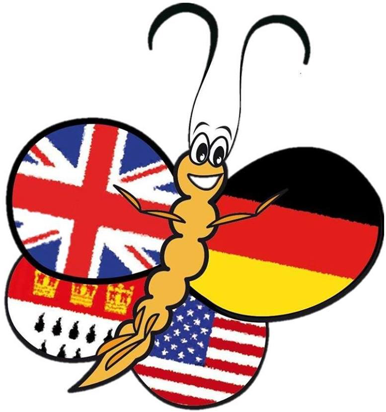 BilinGO Schools - BilinGOlinos